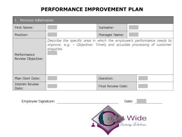 Performance Improvement Plan Form